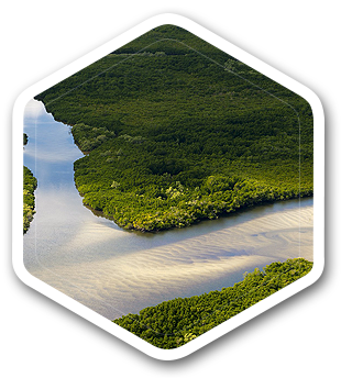 Research Projects – STIPRO